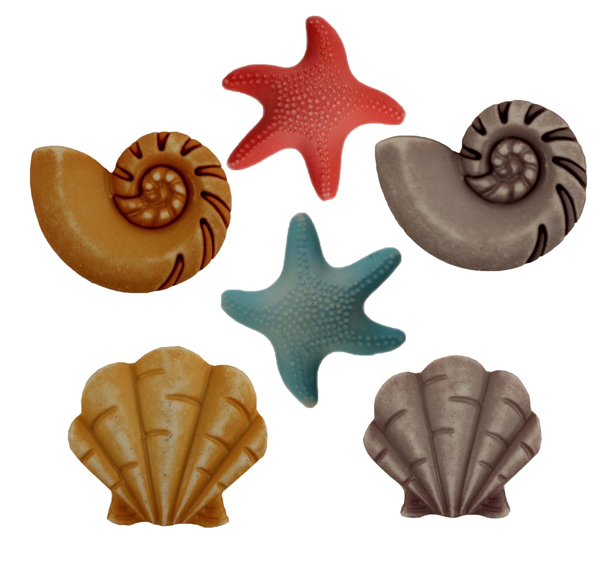 Shell Shaped Buttons & Embellishments | Buttons Galore and More